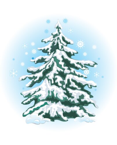 Pine tree covered with snow Royalty Free Vector Image