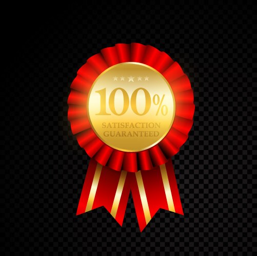 100 percent chart percentage infographics Vector Image