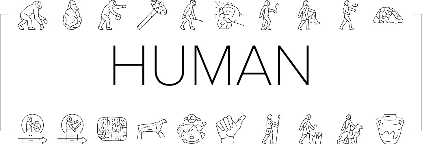 Biology human evolution stages evolutionary Vector Image