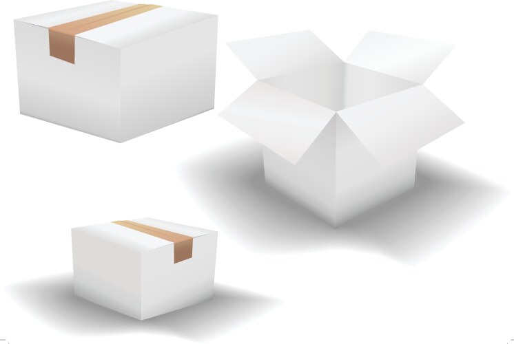 Box packaging die cut template design 3d mock-up Vector Image