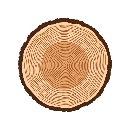 Oak Tree Vector Images (over 52,000)