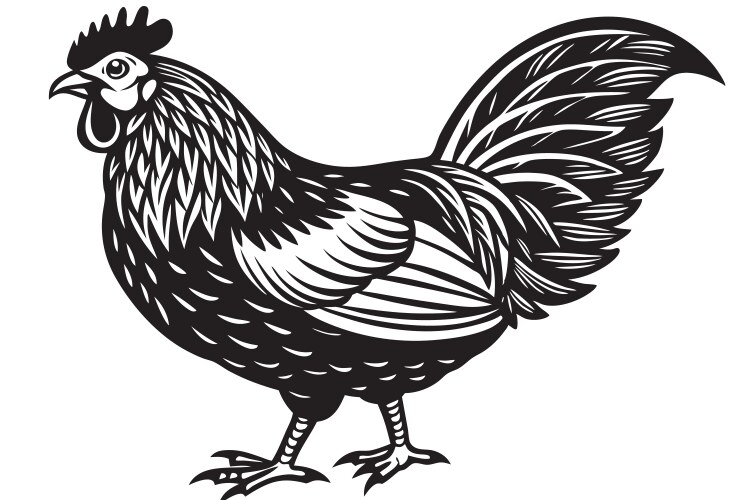 Bantam chicken silhouette Royalty Free Vector Image