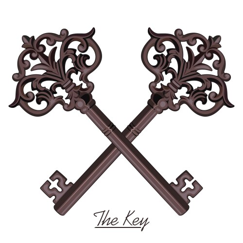 Ornamental medieval vintage keys with victorian Vector Image