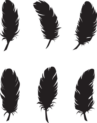 Feathers Vector Images (over 280,000)