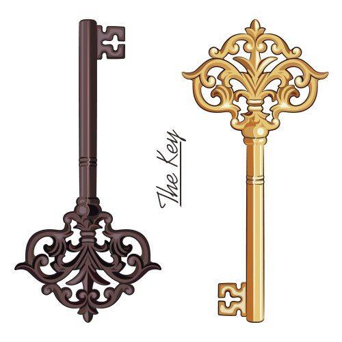 Vintage master key hand drawing engraving style Vector Image