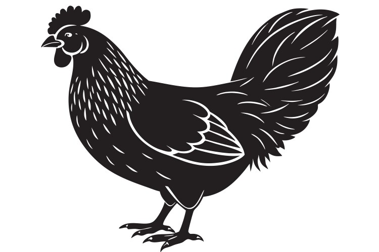 Bantam chicken silhouette Royalty Free Vector Image