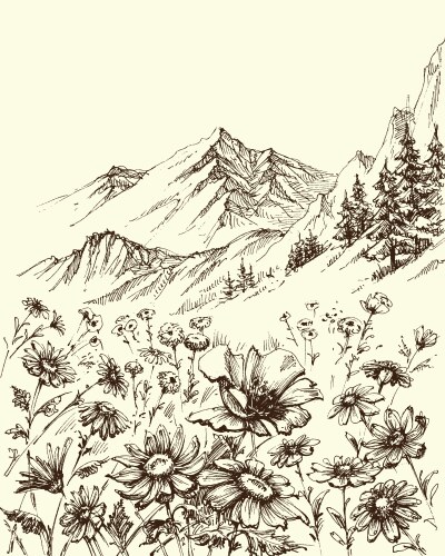 Forest Border Vector Images (over 24,000)