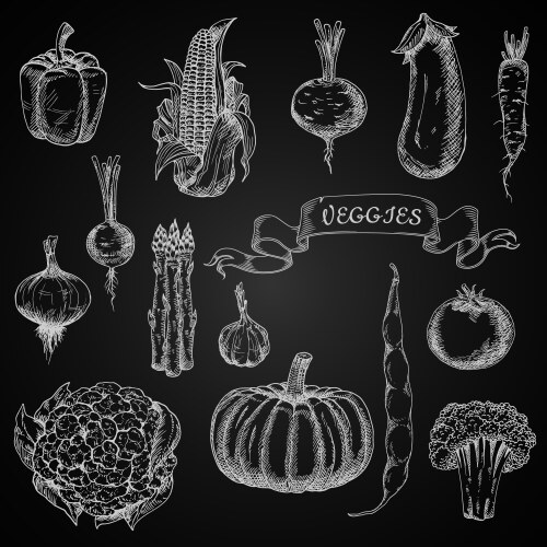 Chalk Vegetable Vector Images (over 3,400)