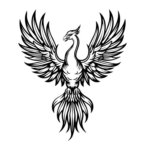 Phoenix Line Art Vector Images (over 4,600)