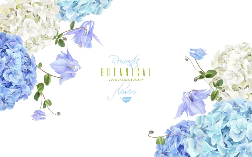 Elegant Hydrangea Banner Royalty Free Vector Image