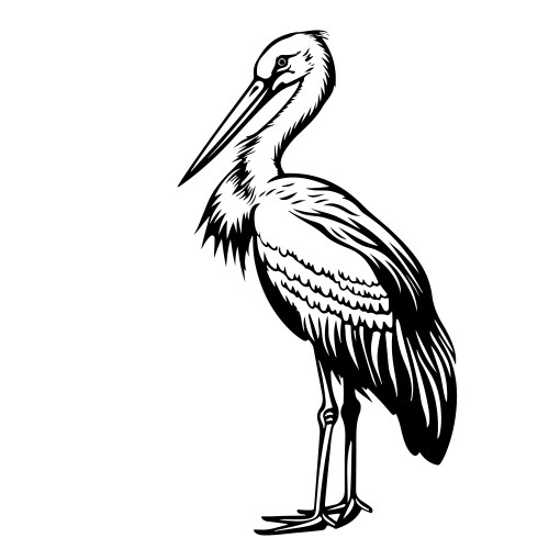 Stork Bird Drawing Stork Bird Illustration Graphics | Motion Array