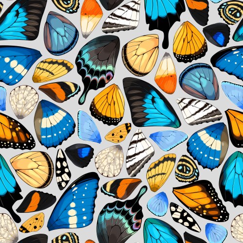 Seamless pattern with moths on white background Vector Image