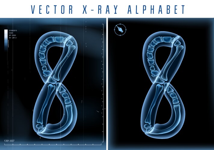 Blue 3d x ray style alphabet Royalty Free Vector Image