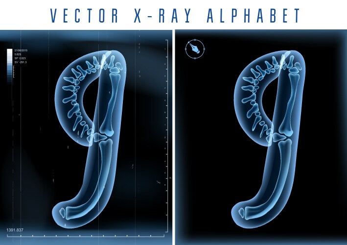 Blue 3d x ray style alphabet Royalty Free Vector Image