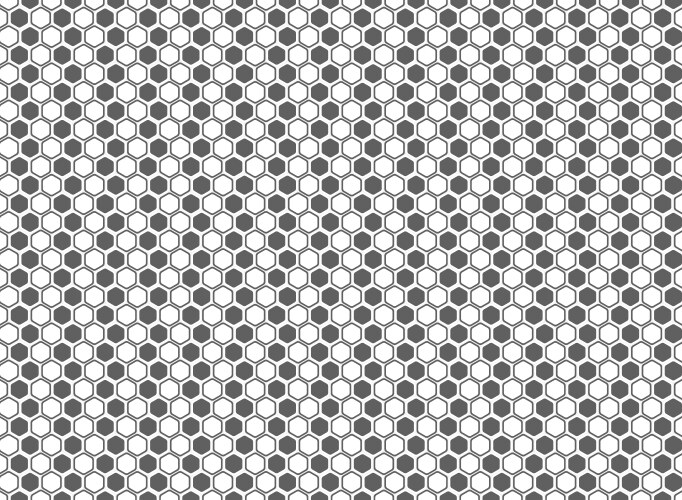 Hexagon background monochrome pattern with black Vector Image