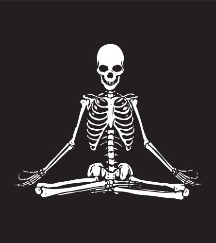 Human skeleton posing isolated over black Vector Image