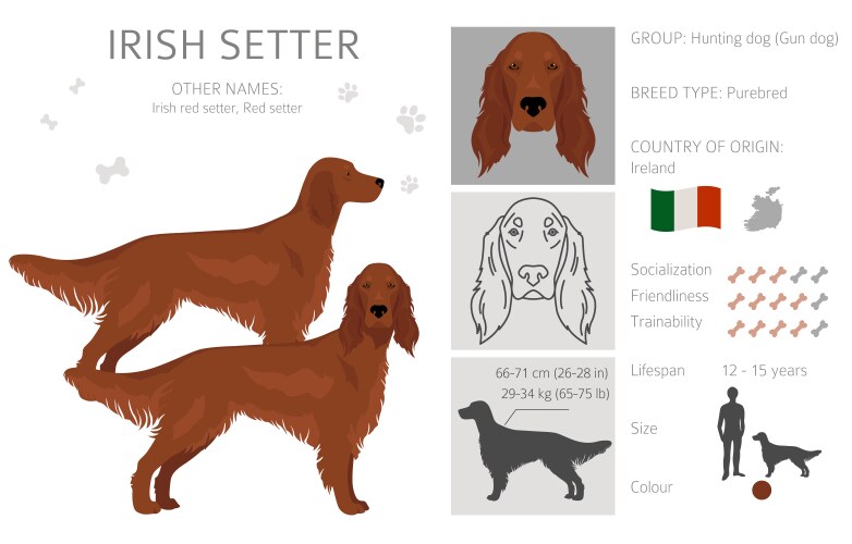 Red Coat Cartoon Vector Images (over 4,700)