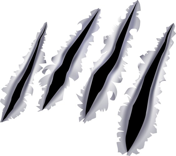 Claw Rip Vector Images (over 1,000)
