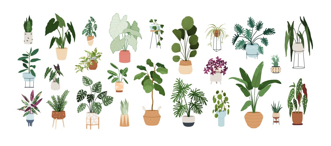 Plants in hanging pots set Royalty Free Vector Image