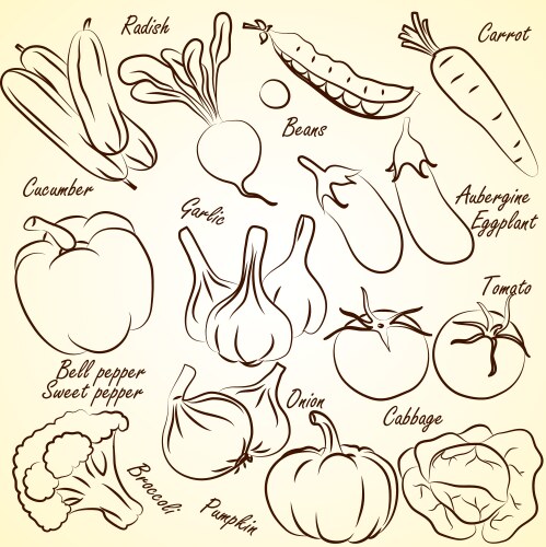 Vegetables still life outline Royalty Free Vector Image