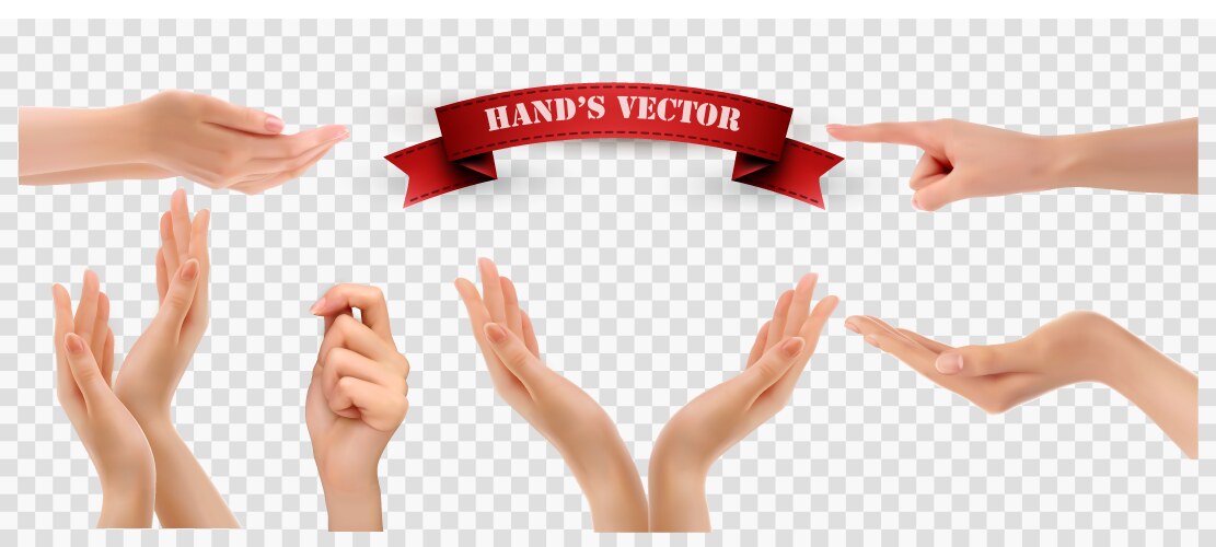 Realistic hands set transparent Royalty Free Vector Image