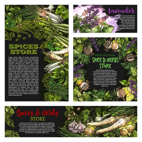 Spices herbs and seasonings sketch Royalty Free Vector Image