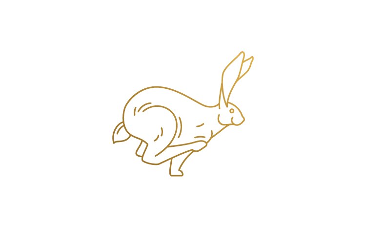 Running Rabbit Outline
