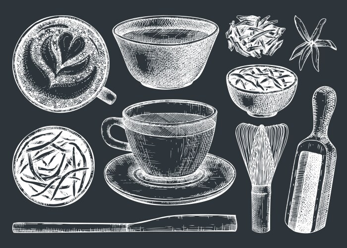 Hand-sketched green tea drinks and ingredients Vector Image