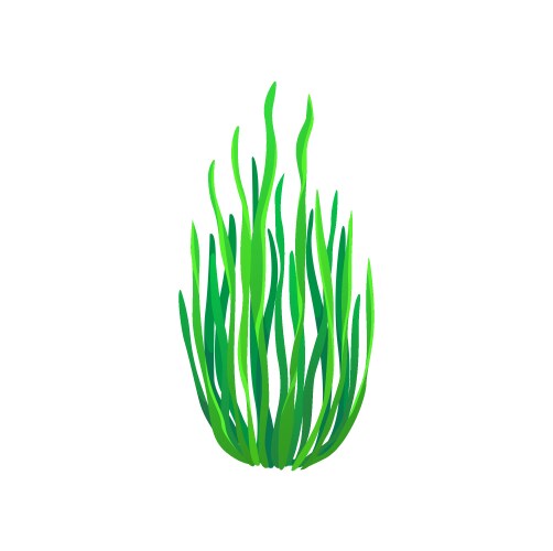 Seaweed Cartoon Vector Images (over 18,000)