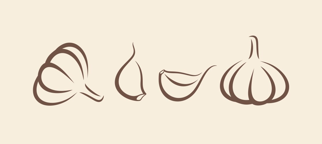 Garlic Vector Images (over 29,000)