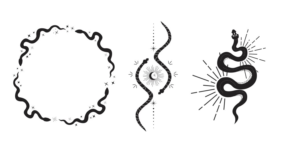 Celestial serpent snake circle frame esoteric Vector Image