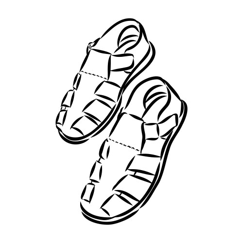 Strap sandal outline drawing Royalty Free Vector Image