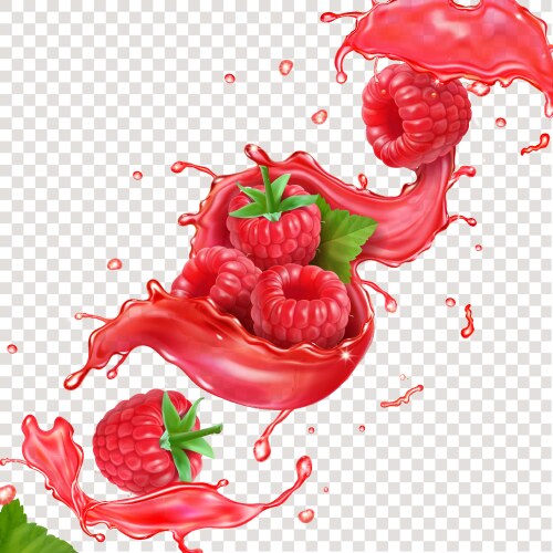 Transparent red liquid splash realistic Royalty Free Vector