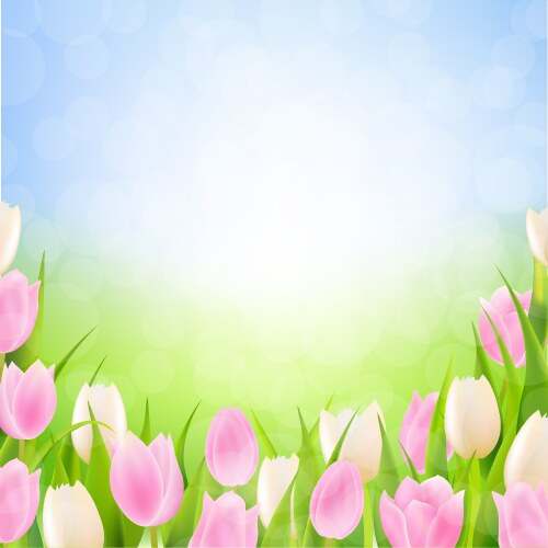 Crocus border Royalty Free Vector Image - VectorStock