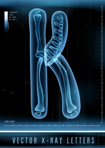 Blue 3d x ray style alphabet Royalty Free Vector Image