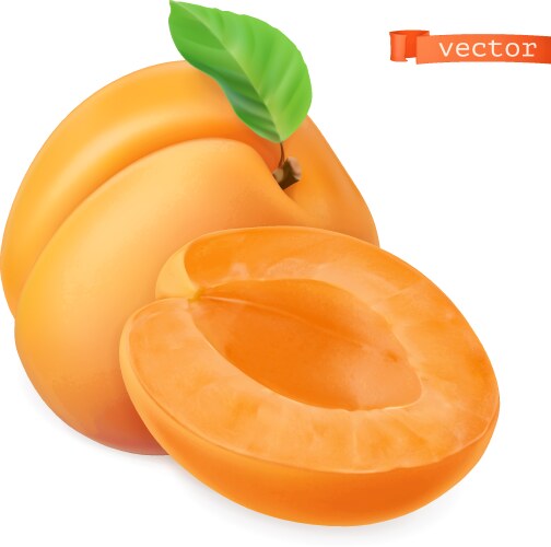 Apricot Vector Images (over 18,000)