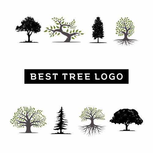 Learning Tree Logo Vector Images (over 2,200)