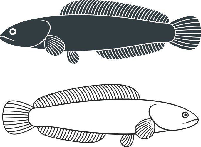 Snakehead Vector Images (over 110)
