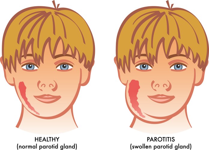 Bacteria cell anatomy Royalty Free Vector Image
