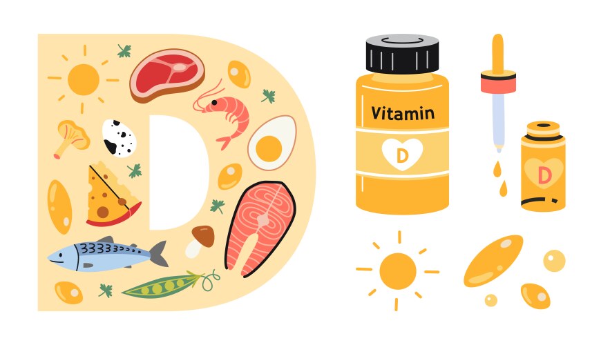 Set with best sources of vitamin a foods cartoon Vector Image