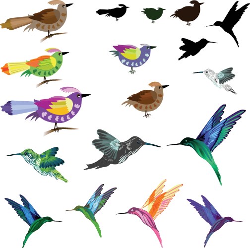 Set of birds Royalty Free Vector Image - VectorStock