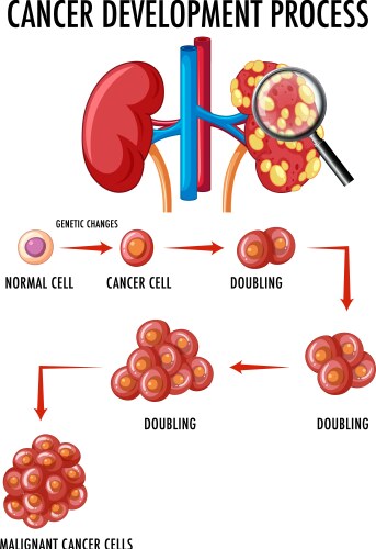 Diagram showing reproduction in sponges Royalty Free Vector