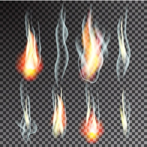 Fire on transparent background Royalty Free Vector Image