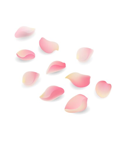 Petals Shape Vector Images (over 52,000)
