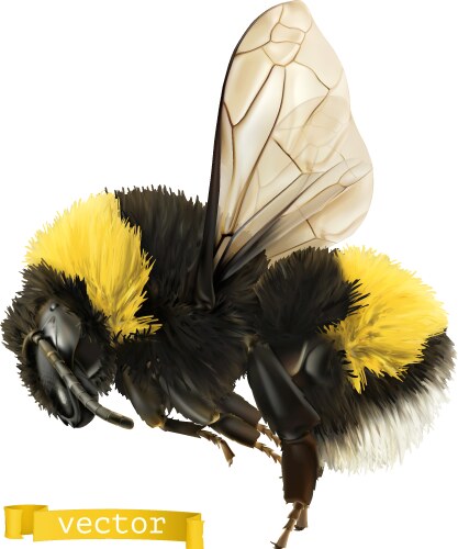 Bumblebee Vector Images (over 18,000)