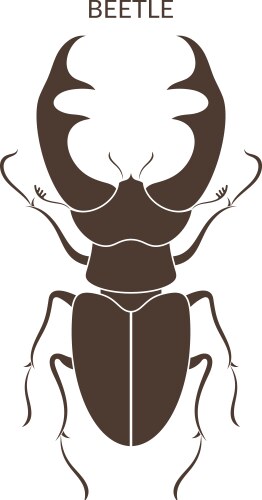 Hercules Beetle Vector Images (over 190)