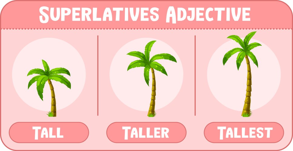Comparative adjectives for word tall Royalty Free Vector