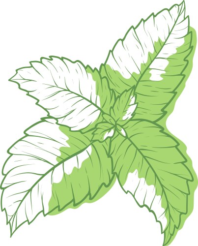 Mint Cartoon Vector Images (over 10,000)