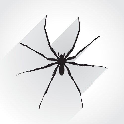 Spider Vector Images (over 74,000)