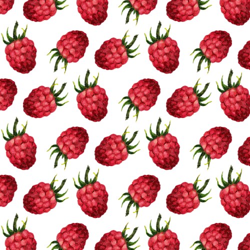 Raspberry pattern Royalty Free Vector Image - VectorStock